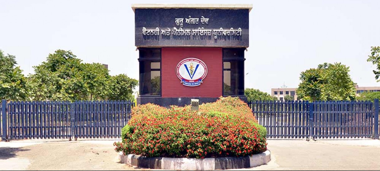 About Host University – Krishi Vigyan Kendra Booh, Tarn Taran